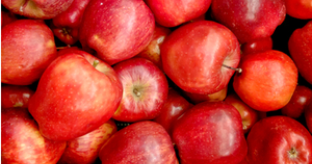 Delifresh | Apple Tentation