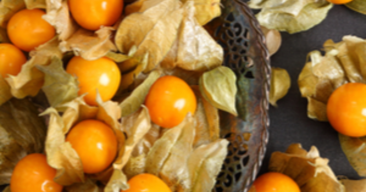 Delifresh | Physalis