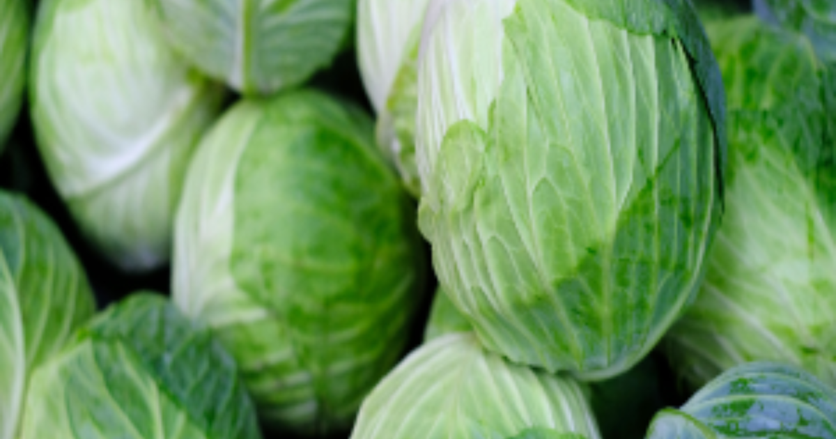 Delifresh | Cabbage White