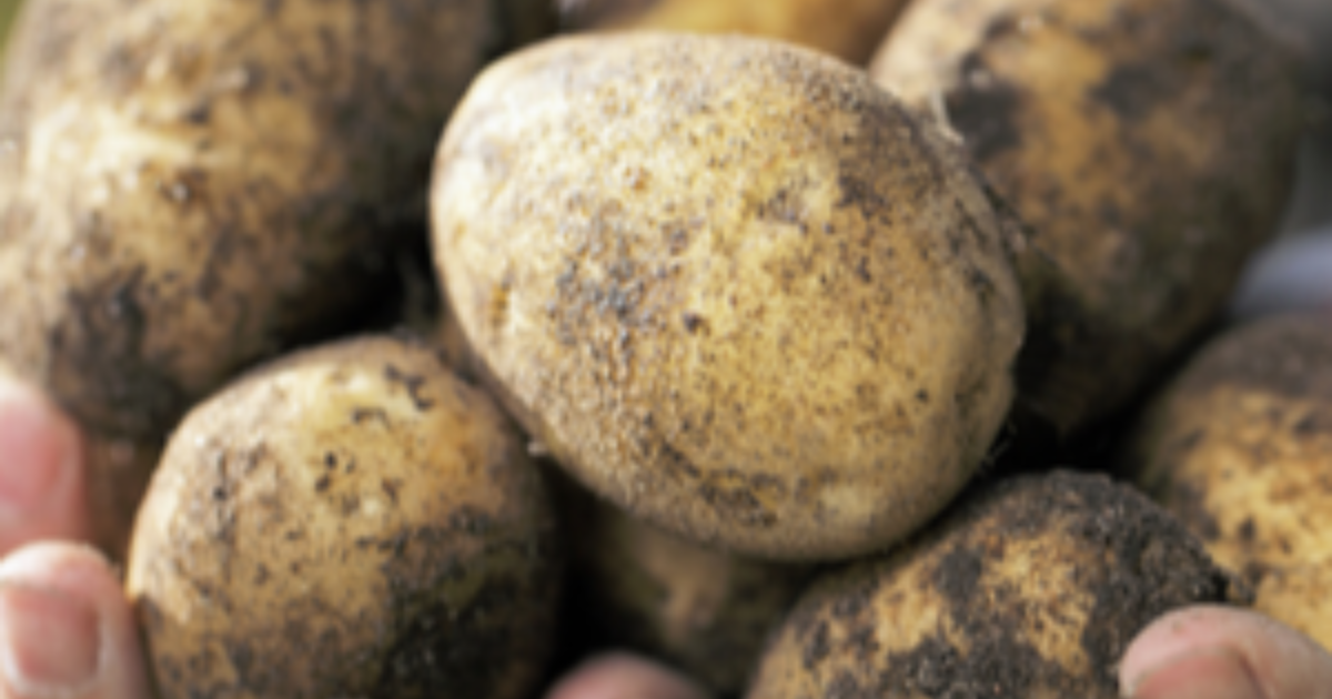 Delifresh | Potatoes Ware