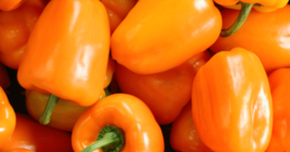 Delifresh | Capsicum Orange