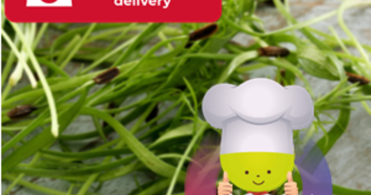 Delifresh | Micro Herb Bronze Fennel Leaves