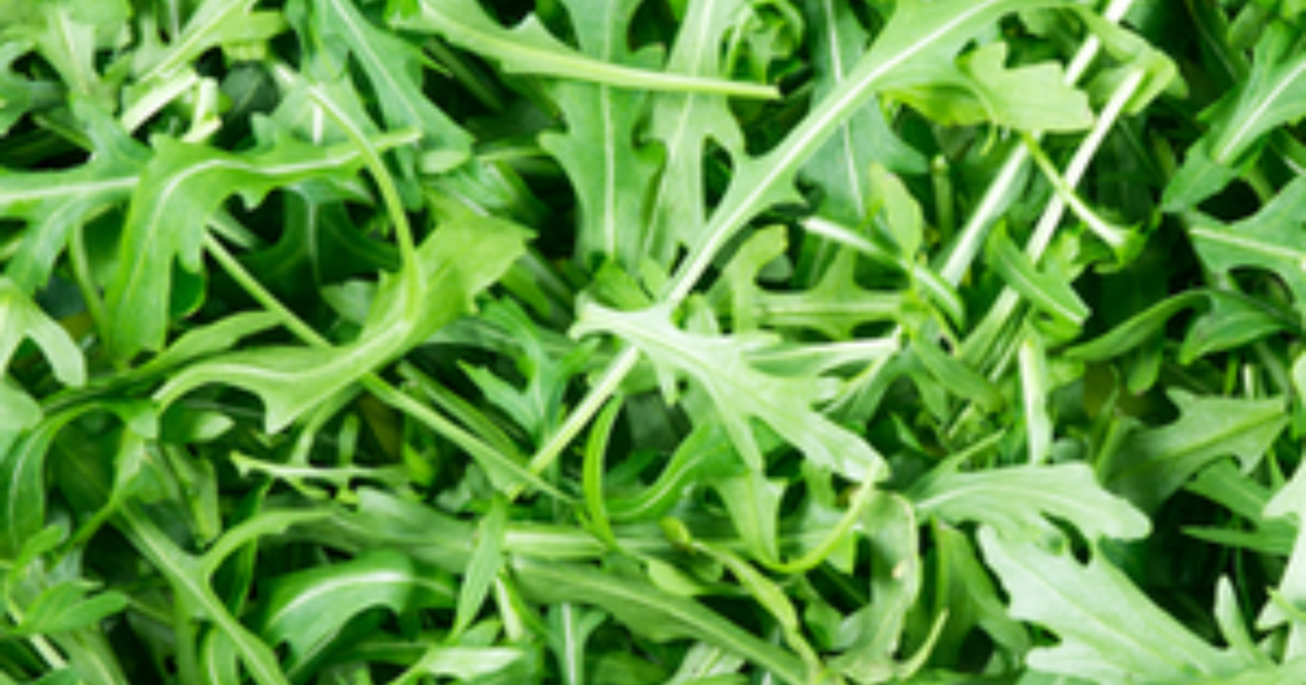 Delifresh | Lettuce Roquette