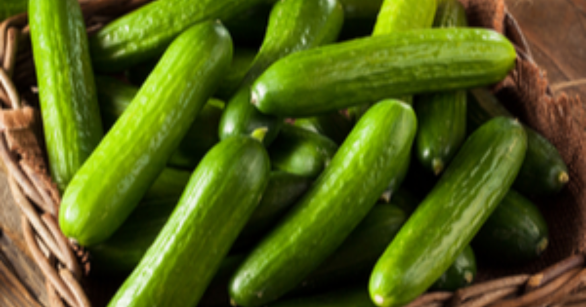Delifresh | Mini Cucumber