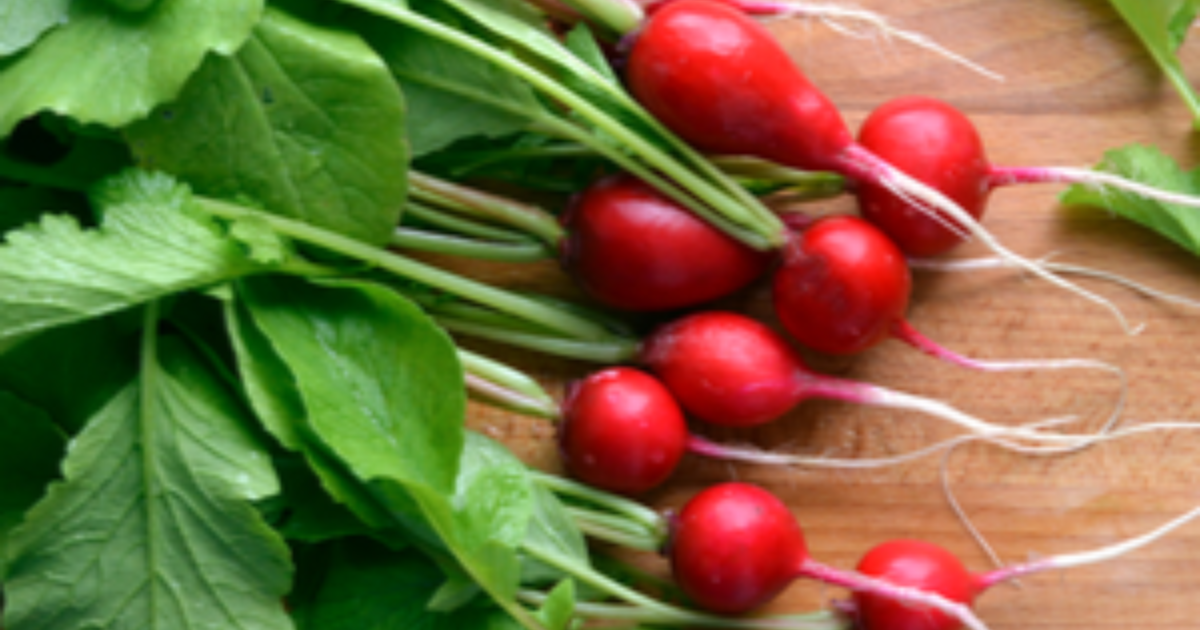 Delifresh | Radish Prepack