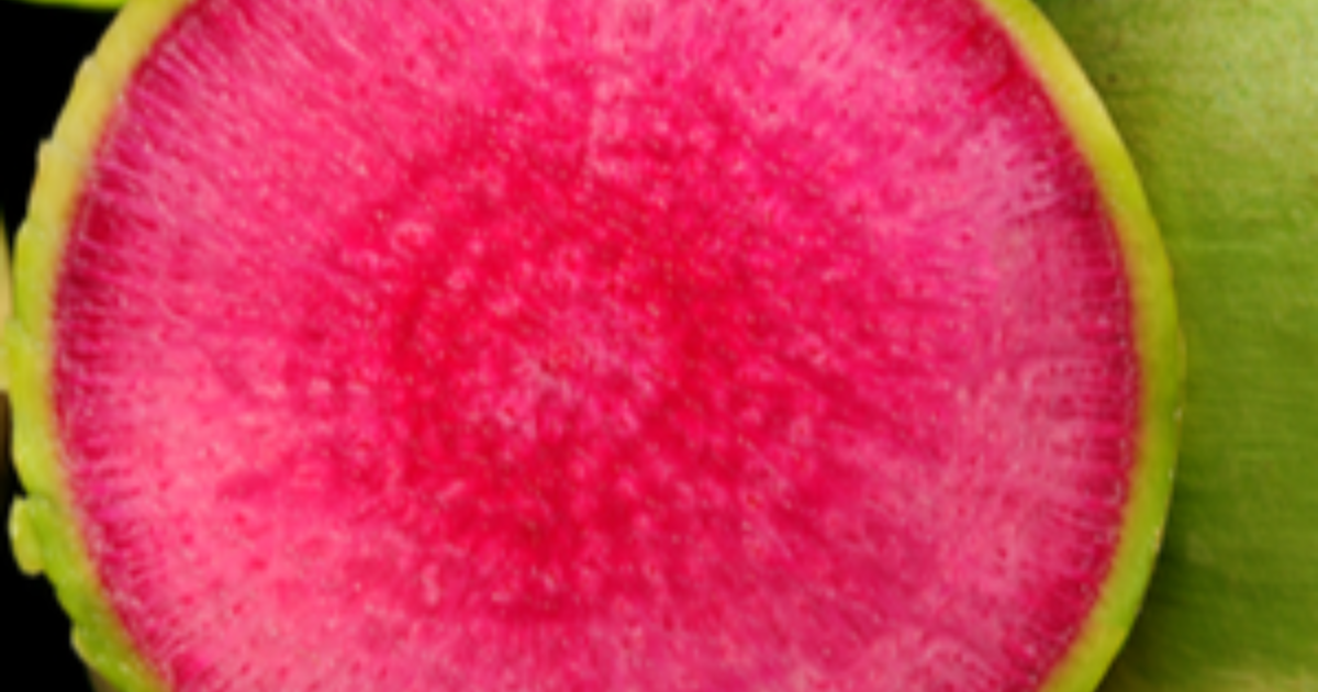 Delifresh | Red Meat Radish