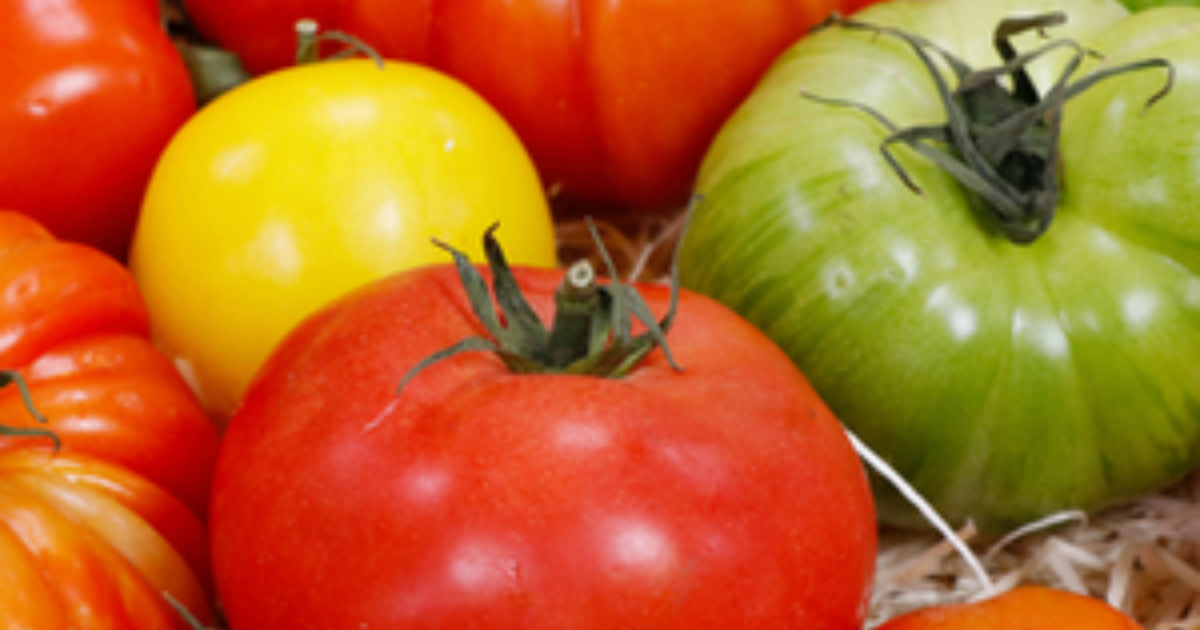 Delifresh | Tomato Heritage Mix